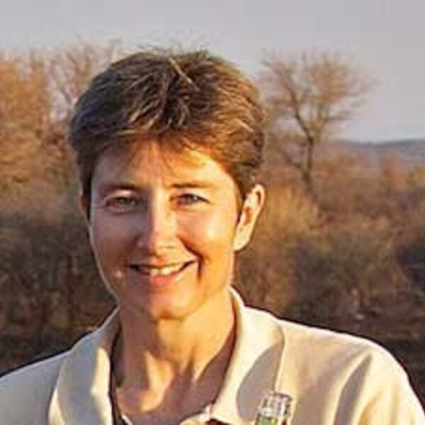 AlisonNichollsArt - Etsy