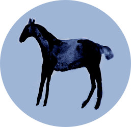 ElCaminoVintage - Etsy
