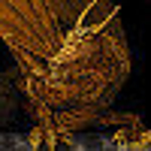 Tabletop Detective Case File, Crime Cold Case 1, Print and Solve at ...