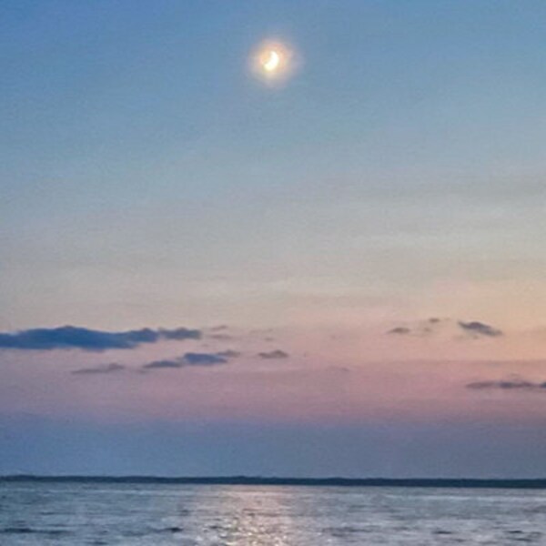 Traditional Home Sherwin Williams Paint Scheme, Interior Design Paint ...