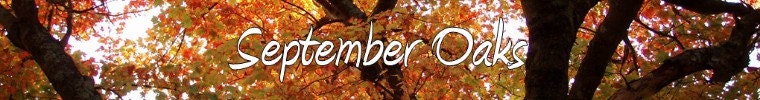 September Oaks by SeptemberOaks on Etsy